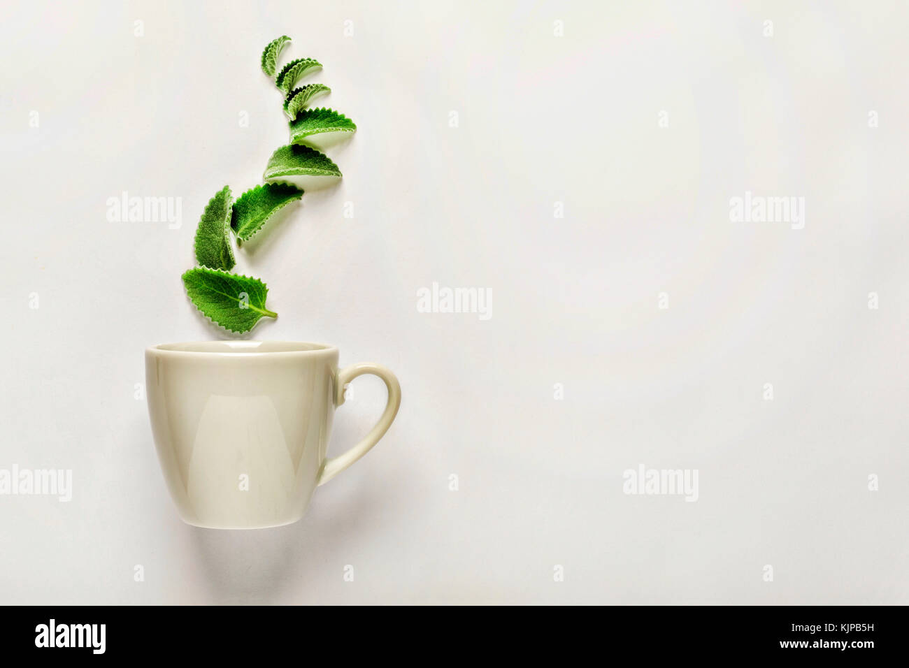 Style minimalism. A cup of fresh green tea or herbal tea with green ...