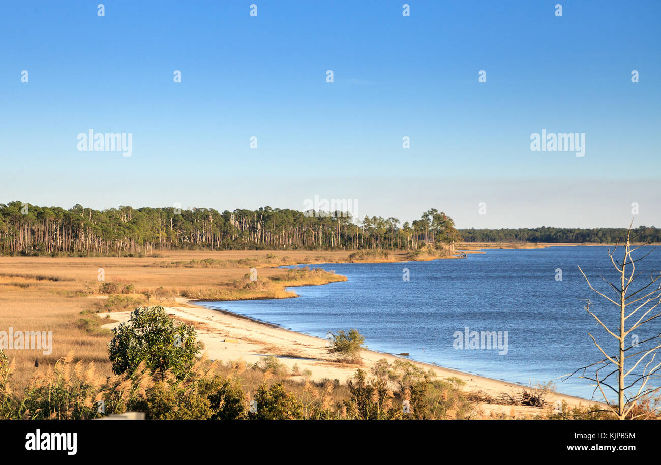 Alabama wetlands hi-res stock photography and images - Alamy