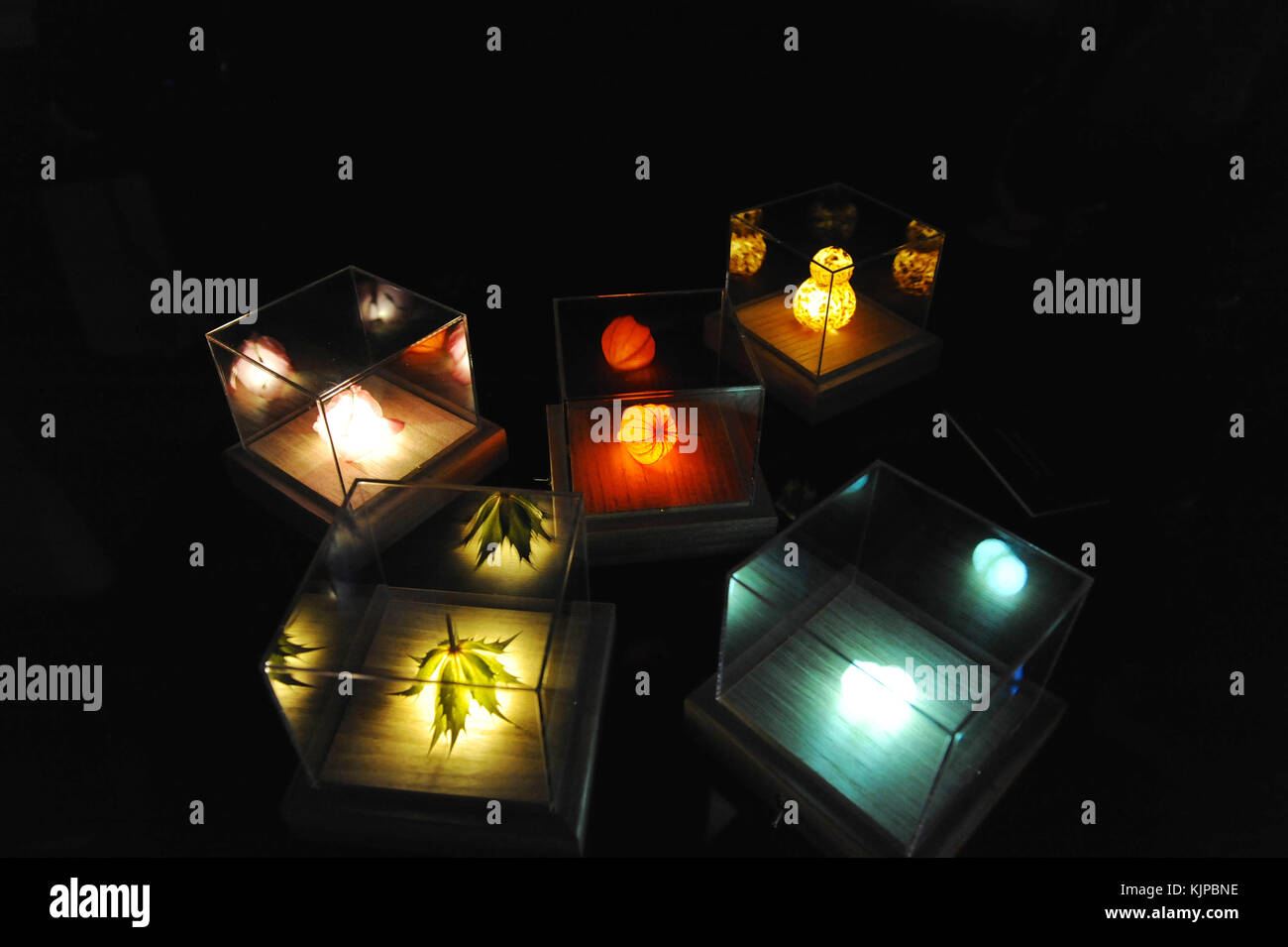 London, UK. 24th November, 2017. Part of the Illuminight – A Festival ...