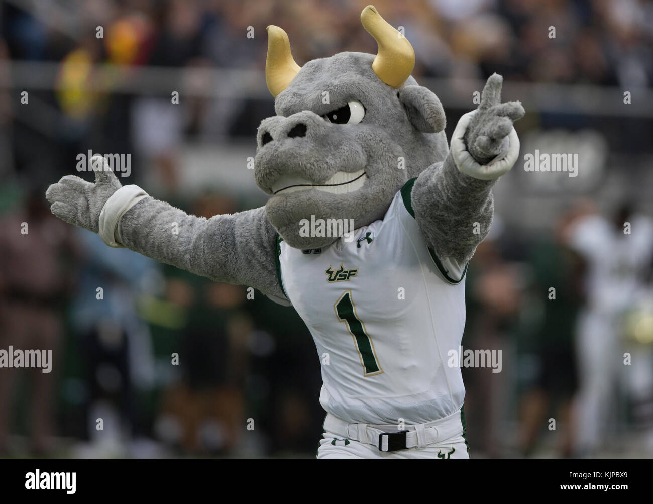 Spectrum Stadium. 24th Nov, 2017. FL, USA; USF mascot Rocky the Bull ...