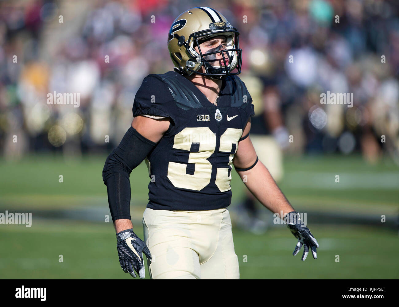 West Lafayette, Indiana, USA. 25th Nov, 2017. Purdue wide receiver ...