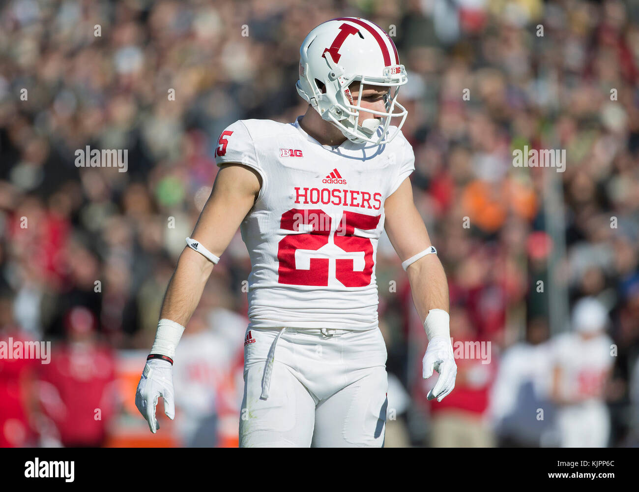 West Lafayette, Indiana, USA. 25th Nov, 2017. Indiana wide receiver ...