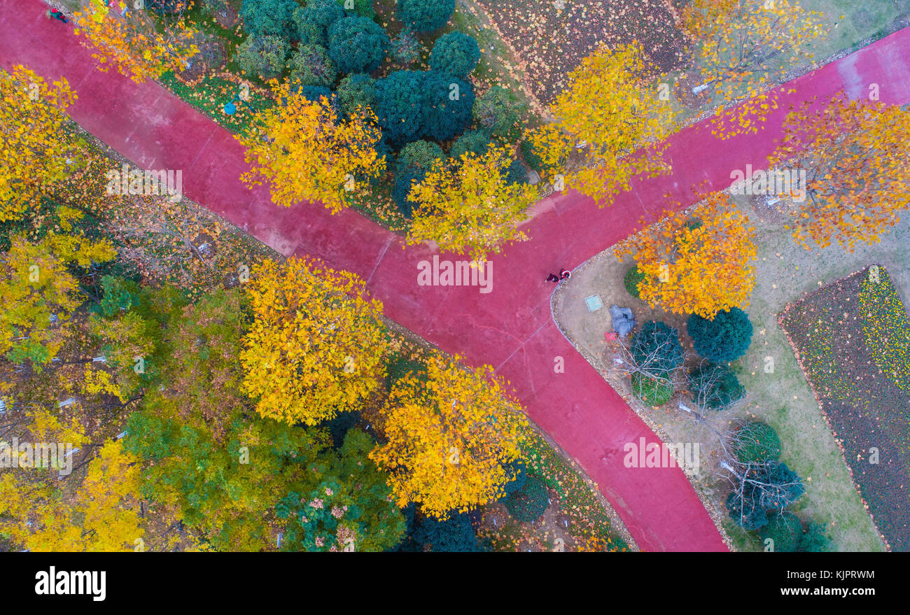 Hefei. 30th Nov, 2017. Aerial photo taken on Nov. 30, 2017 shows the ...