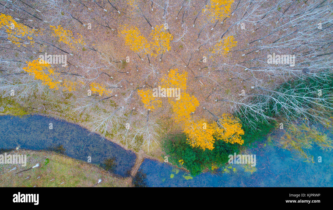 Hefei. 30th Nov, 2017. Aerial photo taken on Nov. 30, 2017 shows the ...