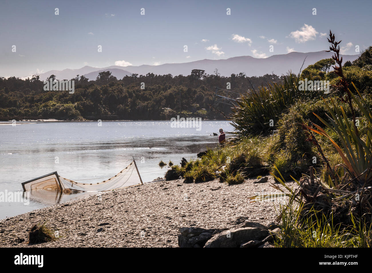 Whitebaiting on the Okuru River, Haast, New Zealand Stock Photo - Alamy