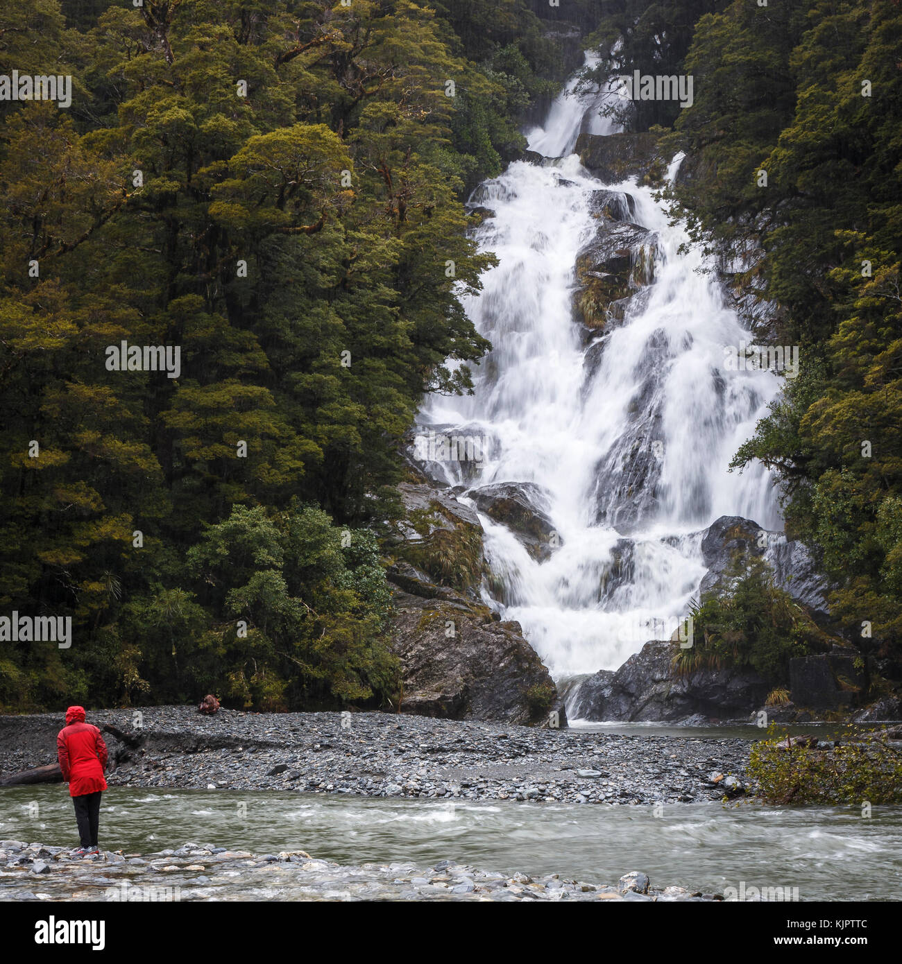 Fantail Falls in the Haast Pass, New Zealand Stock Photo - Alamy