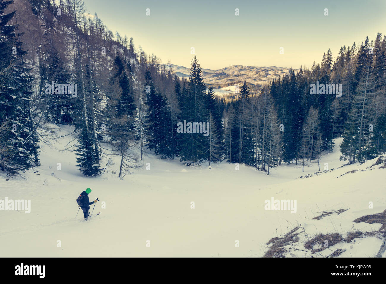 Back country skier reaching forest Stock Photo - Alamy