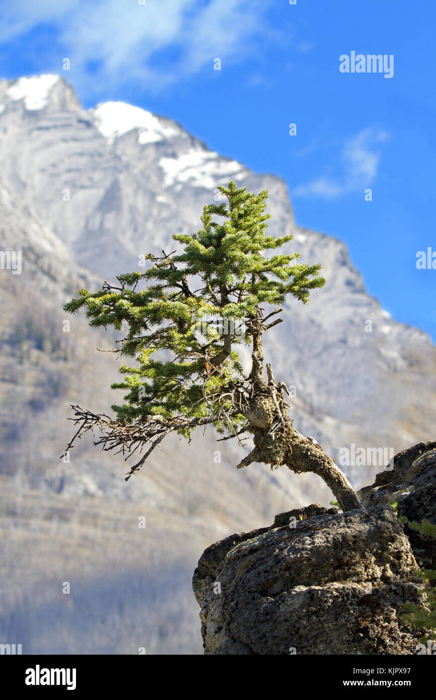 Jutting rock hi-res stock photography and images - Alamy