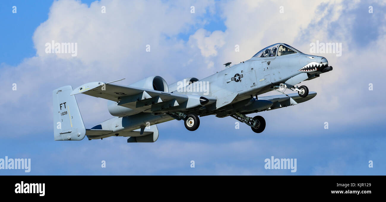 A 10 warthog hi-res stock photography and images - Alamy