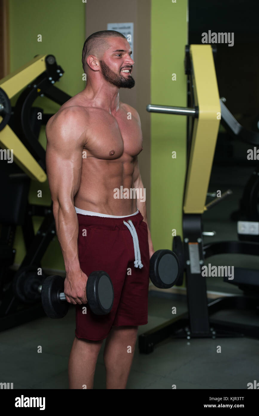 Man Working Out Biceps In A Gym - Dumbbell Concentration Curls Stock ...
