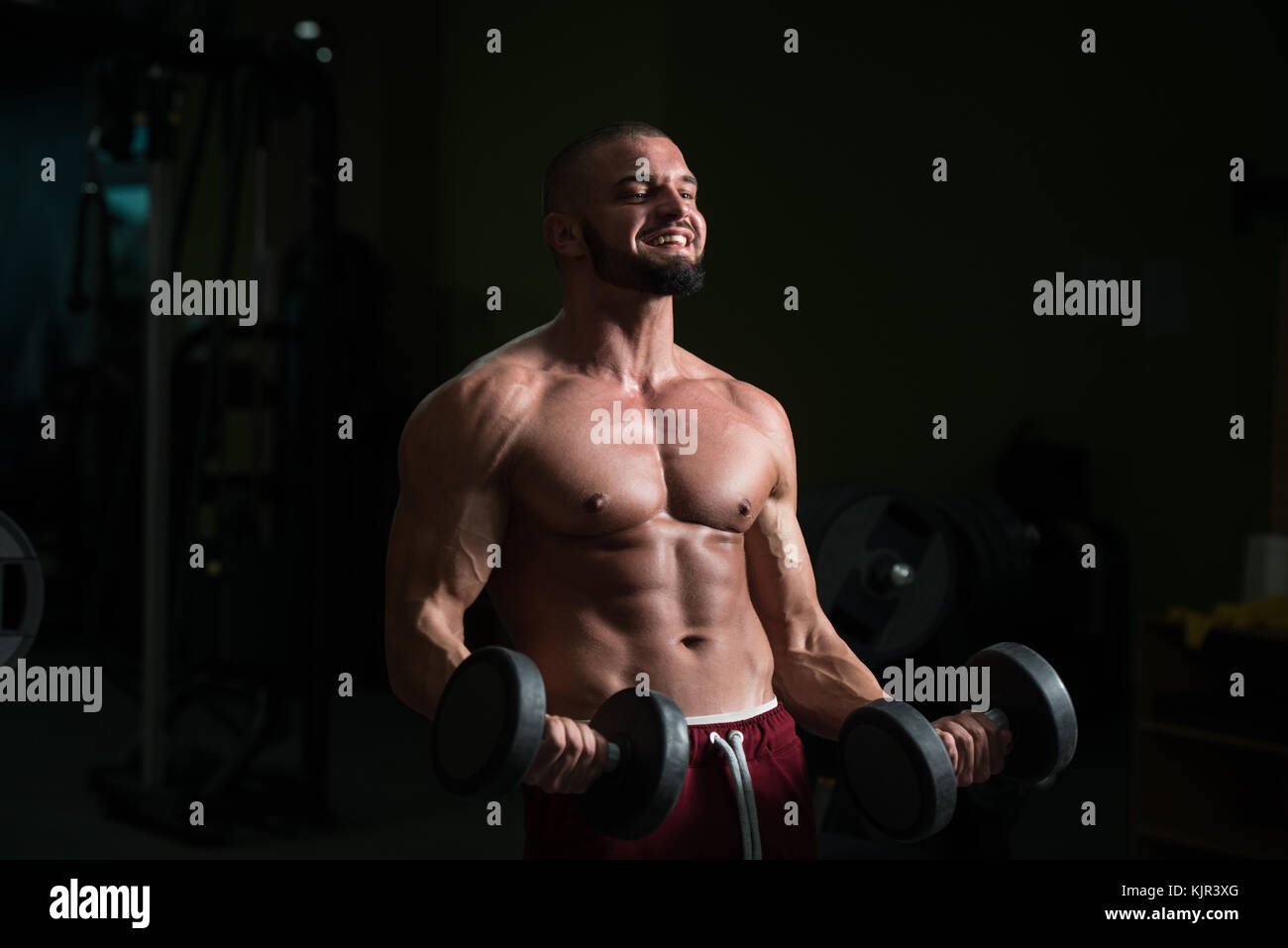Man Working Out Biceps In A Gym - Dumbbell Concentration Curls Stock ...
