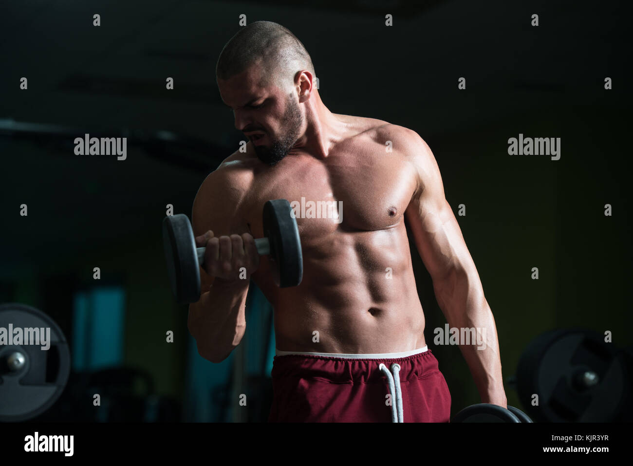 Athlete Working Out Biceps In A Gym - Dumbbell Concentration Curls ...
