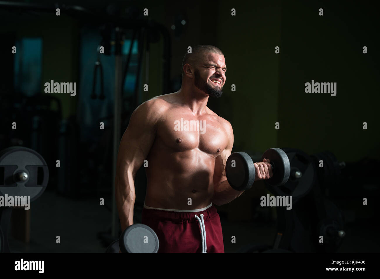 Man Working Out Biceps In A Gym - Dumbbell Concentration Curls Stock ...