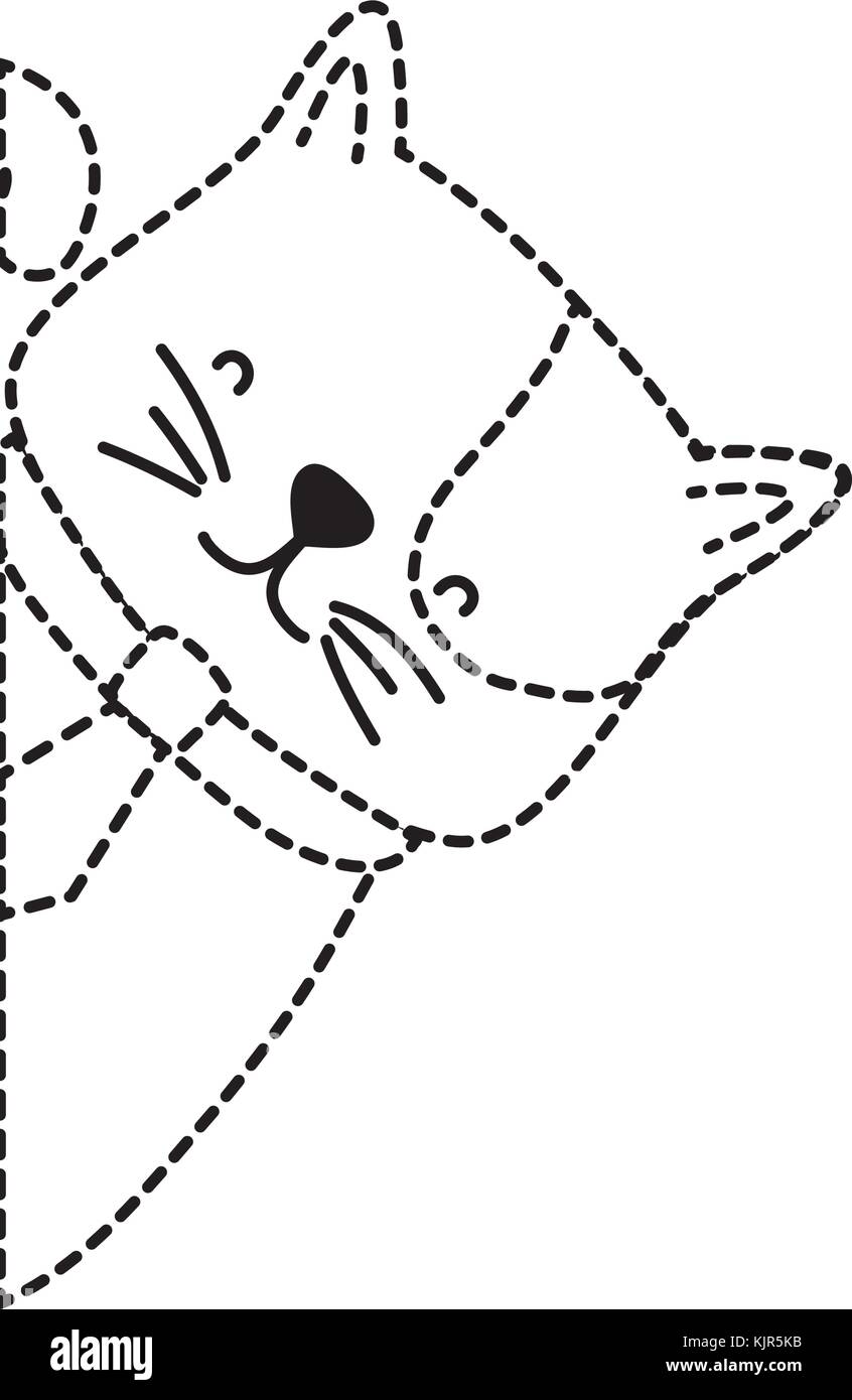 Isolated cat design Stock Vector Image & Art - Alamy