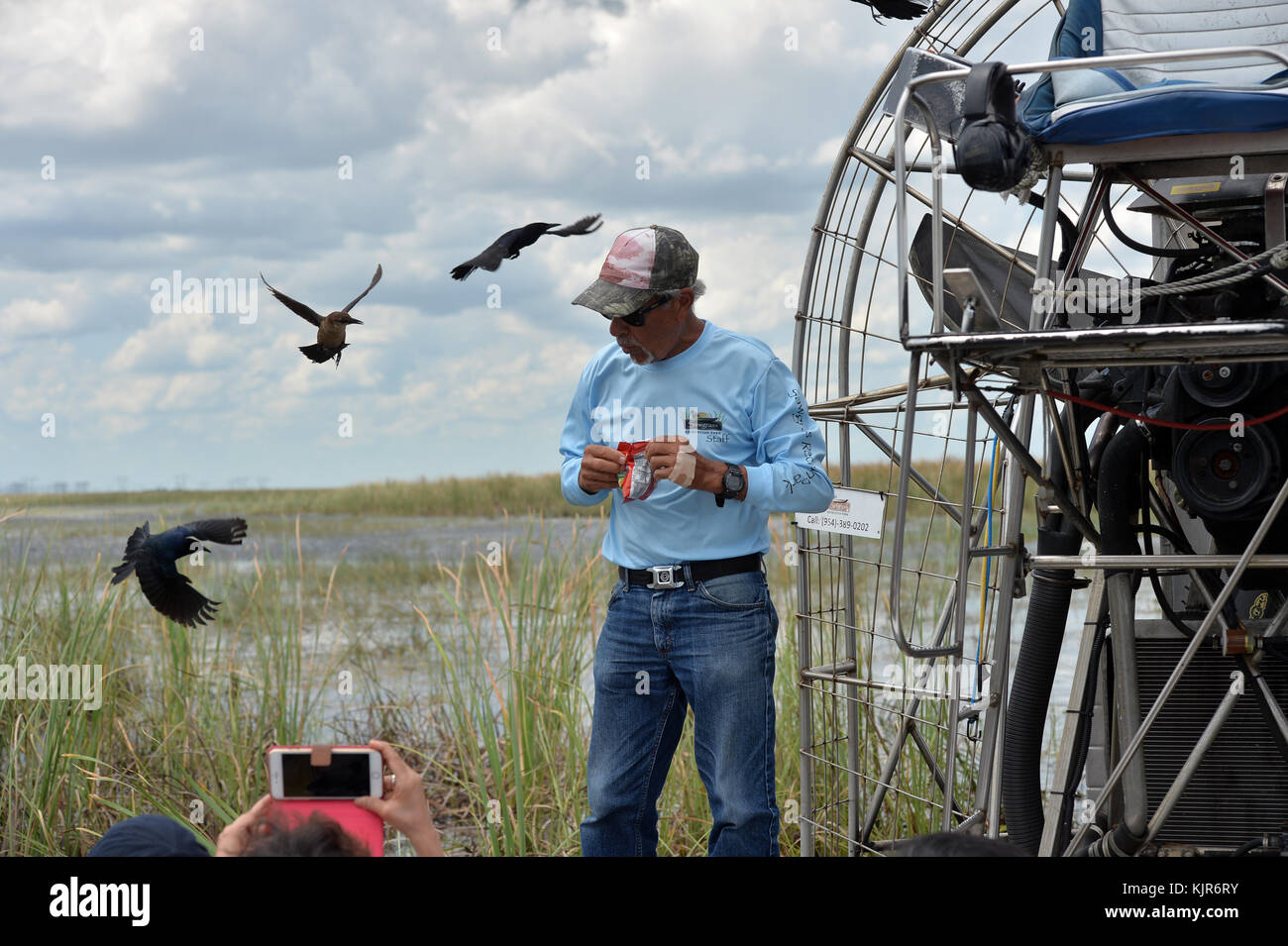 WESTIN, FL - JUNE 03: Florida Alligators Still a major attraction in ...