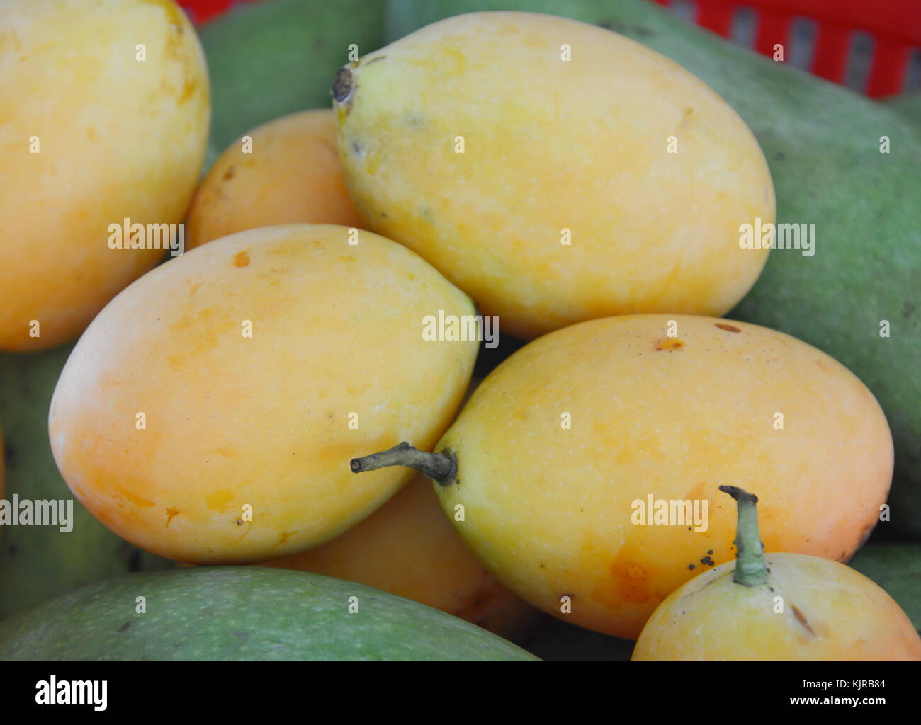 plum and mango tropical fruit in plastic basket Stock Photo - Alamy