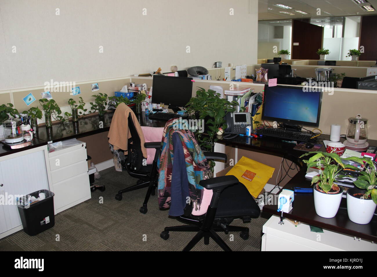 Cubicles inside an office space Stock Photo - Alamy