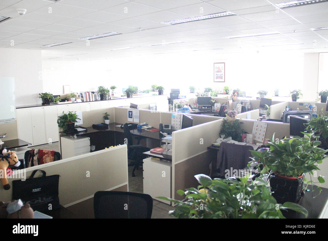 Cubicles inside an office space Stock Photo - Alamy
