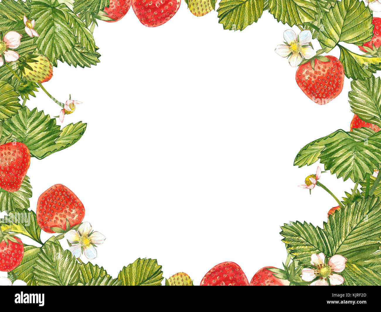 Vertical banners with ripe red berry strawberry on white background ...
