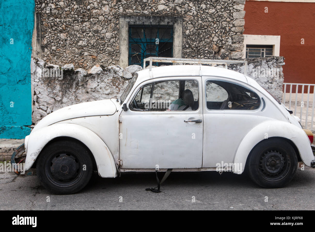 White beetle hi-res stock photography and images - Alamy