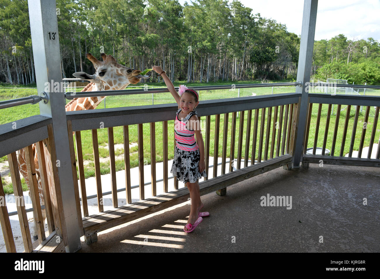 Addison lobozzo hi-res stock photography and images - Alamy