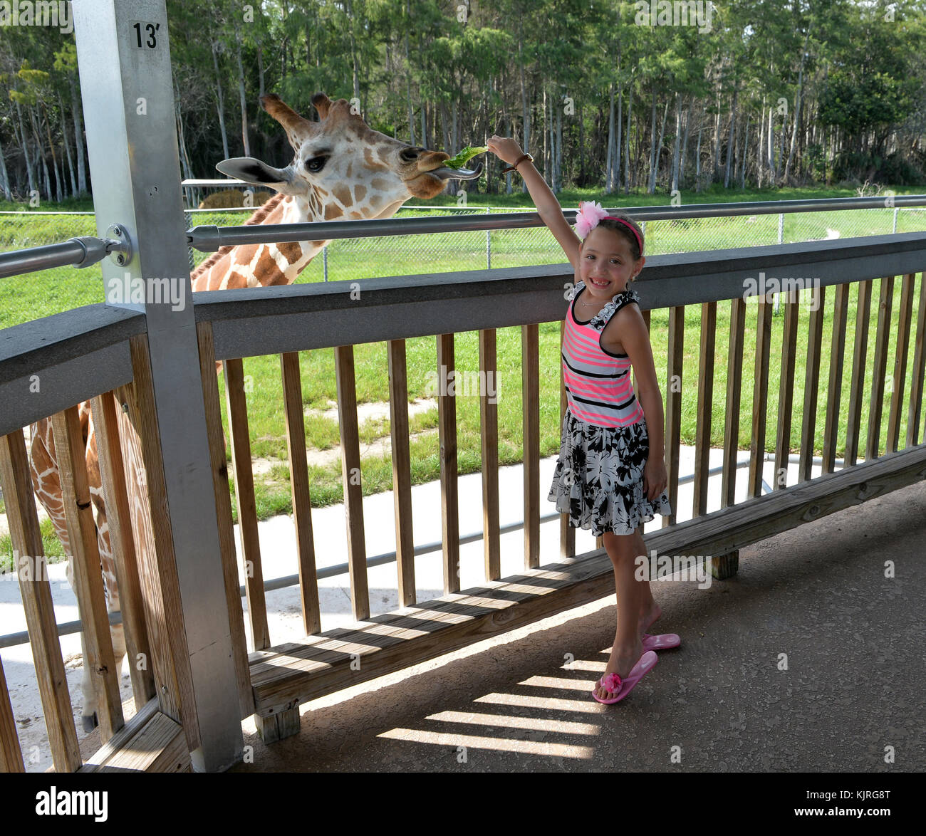 LOXAHATCHEE, FL - AUGUST 17: Addison Lobozzo at Lion Country Safari on ...