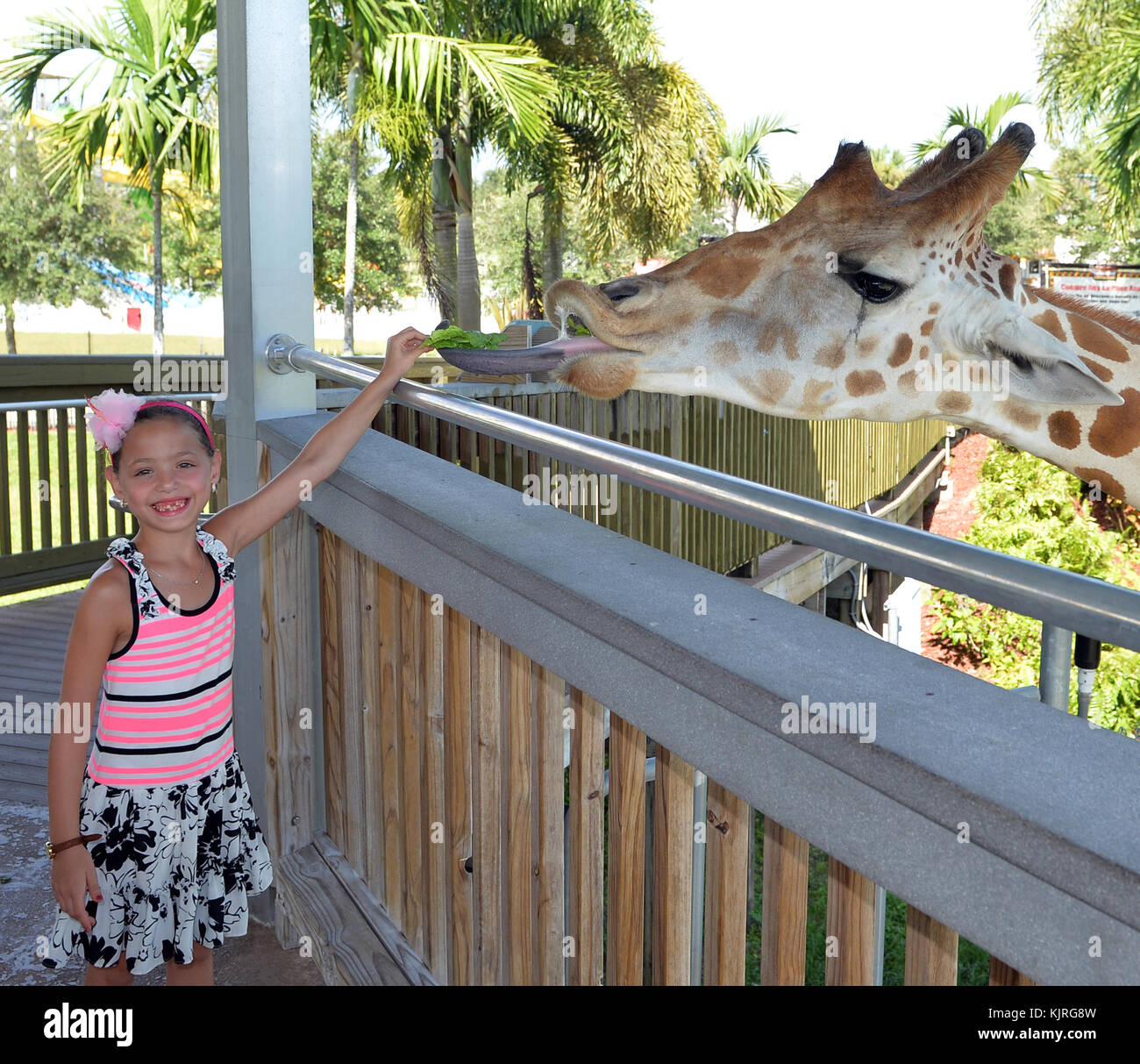LOXAHATCHEE, FL - AUGUST 17: Addison Lobozzo at Lion Country Safari on ...