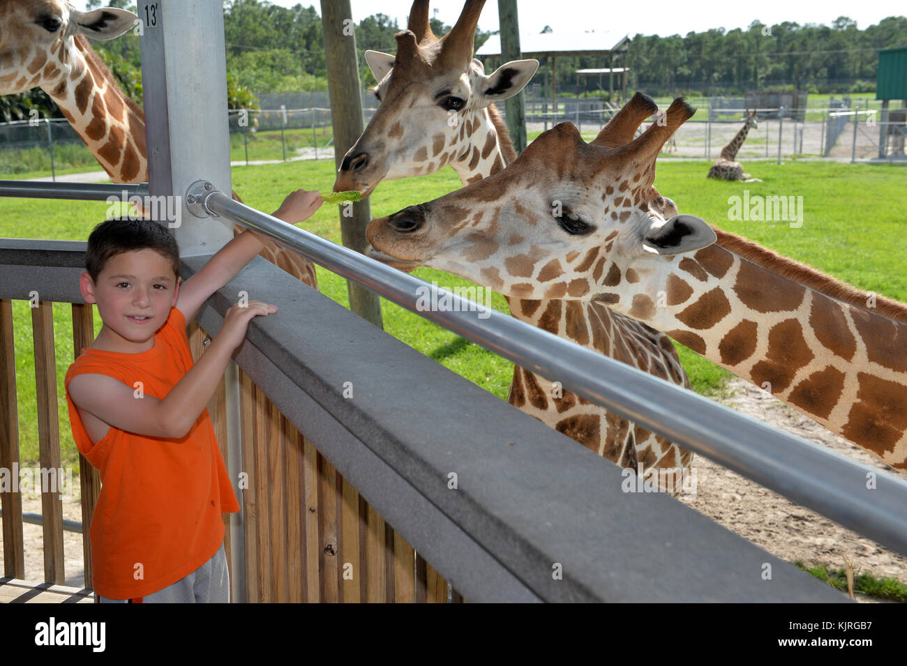 Lobozzo hi-res stock photography and images - Alamy