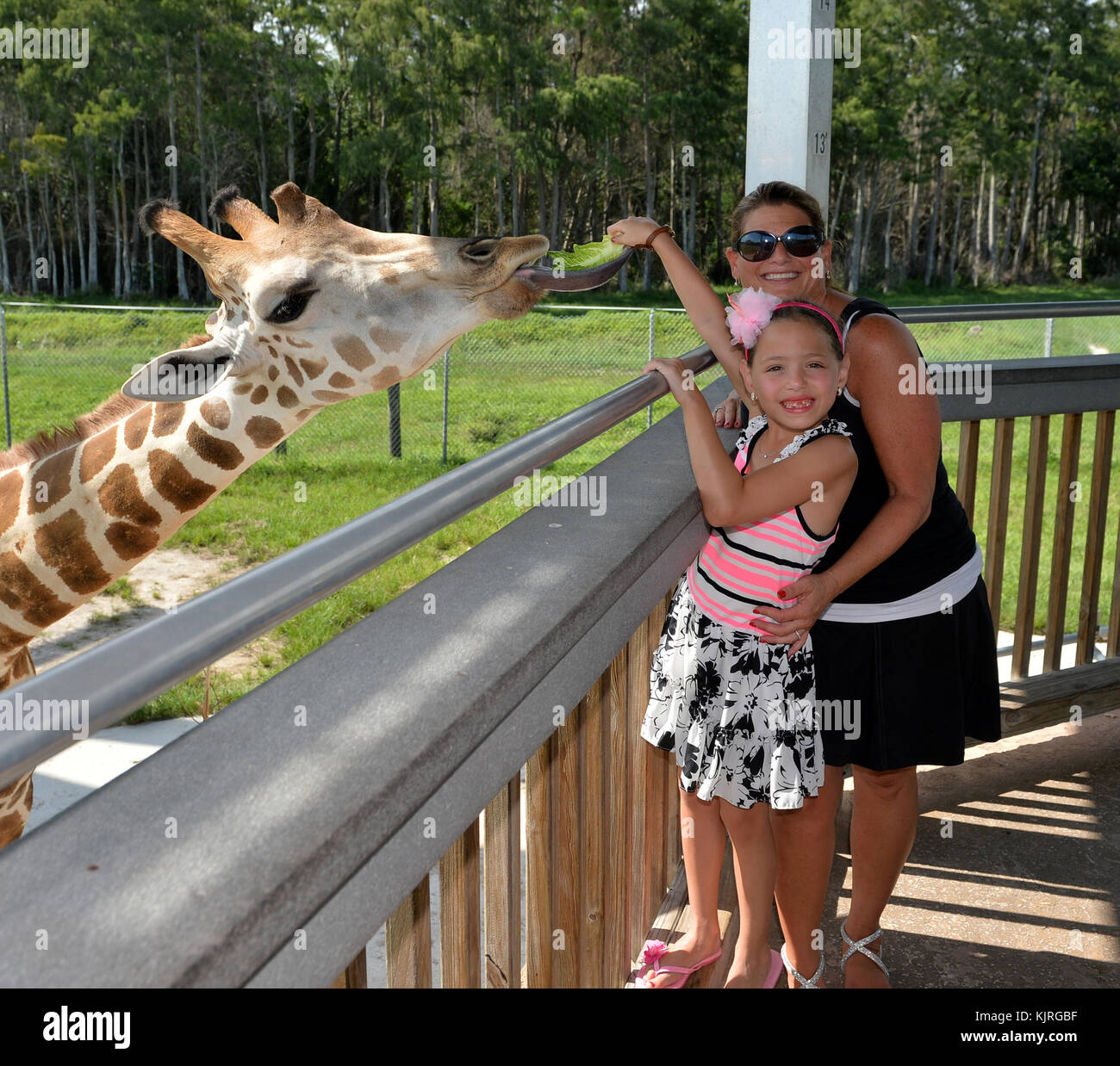 Addison lobozzo hi-res stock photography and images - Alamy