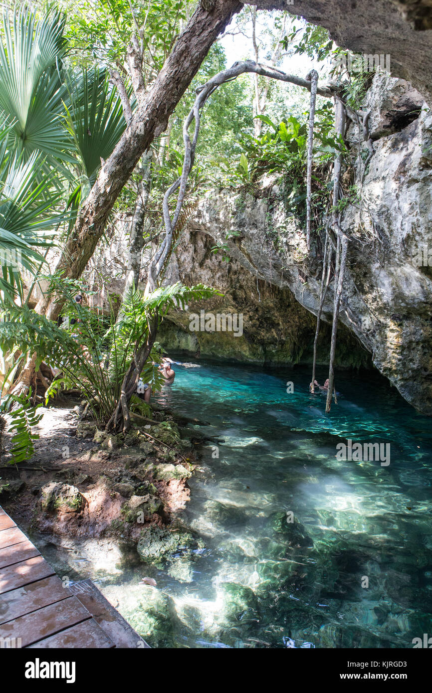 Natural pool of water at Grand Cenote Tulum Stock Photo - Alamy