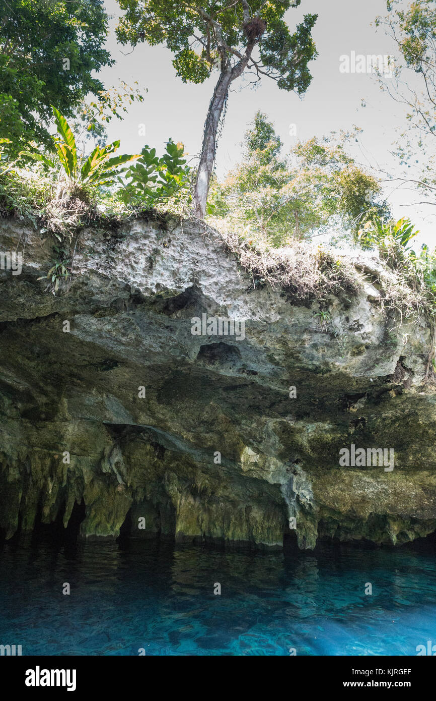 grand cenote tulum Stock Photo - Alamy