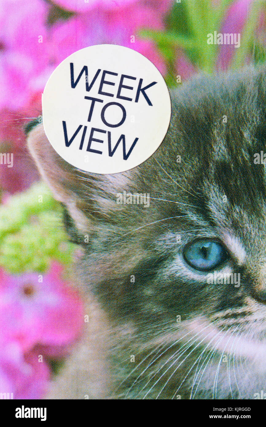 Week to view sticker on diary Stock Photo - Alamy