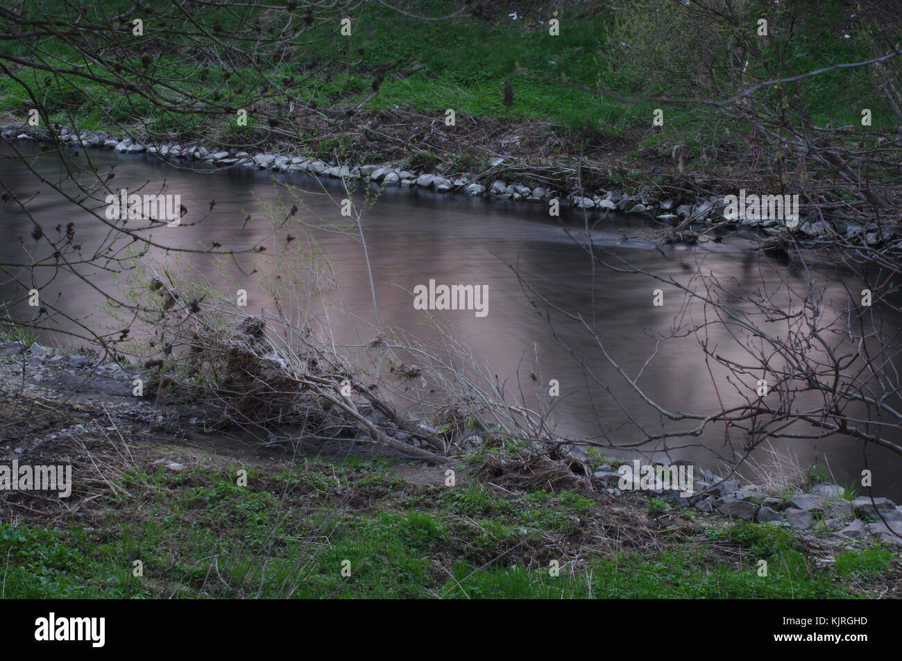 Intact environment hi-res stock photography and images - Alamy