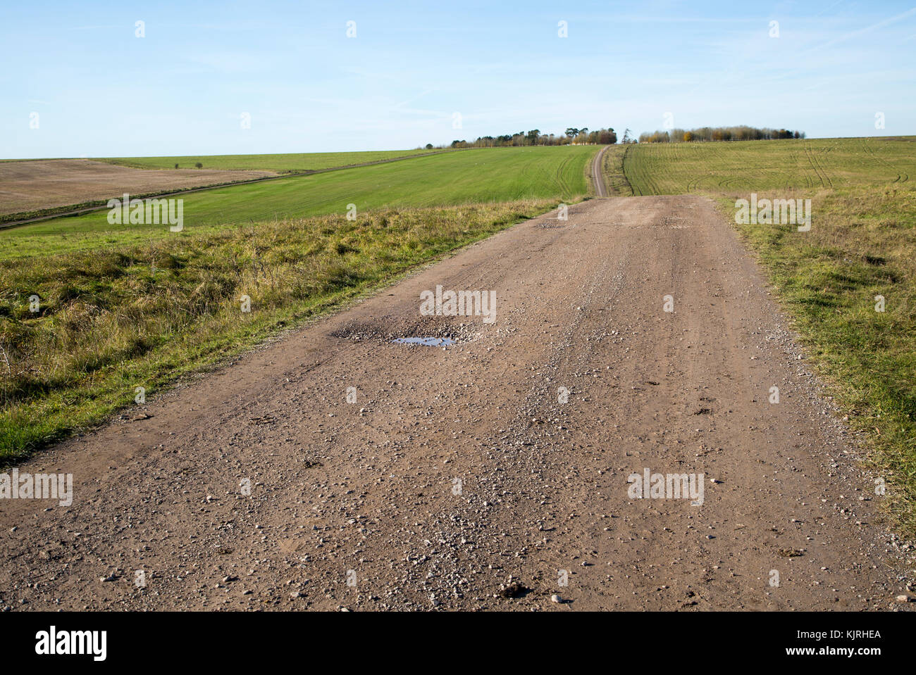 Unsurfaced track road chalk upland landscape near Everleigh, Salisbury ...