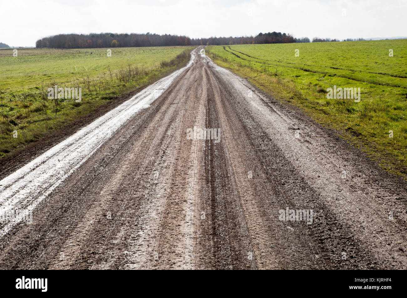 Unsurfaced track road chalk upland landscape Figheldean Down, Salisbury ...