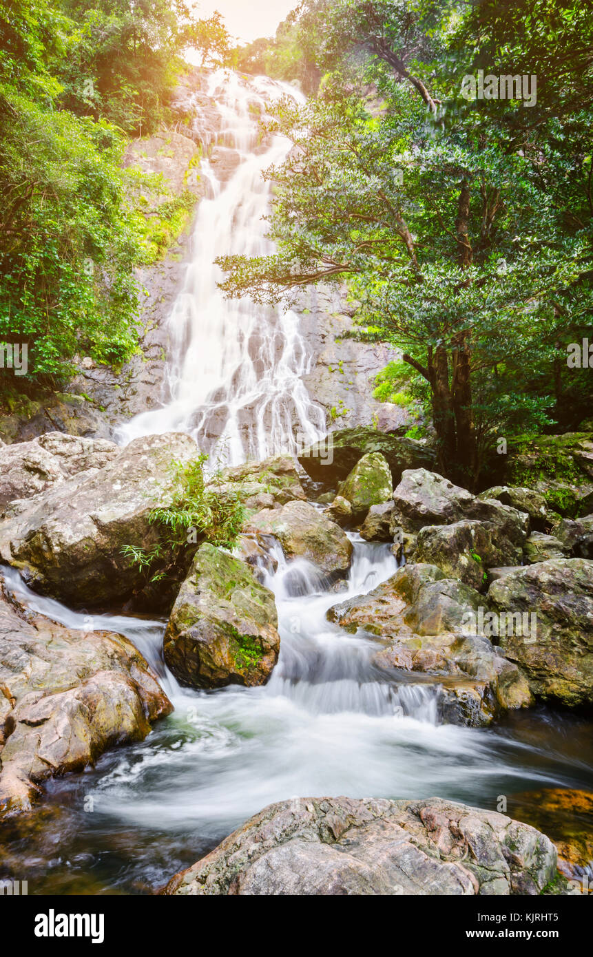 High waterfall in deep green forest Stock Photo - Alamy