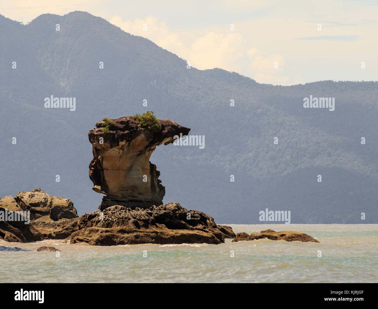 Cobrahead sea stack in Bako National Park, famous cliff at Borneo in ...