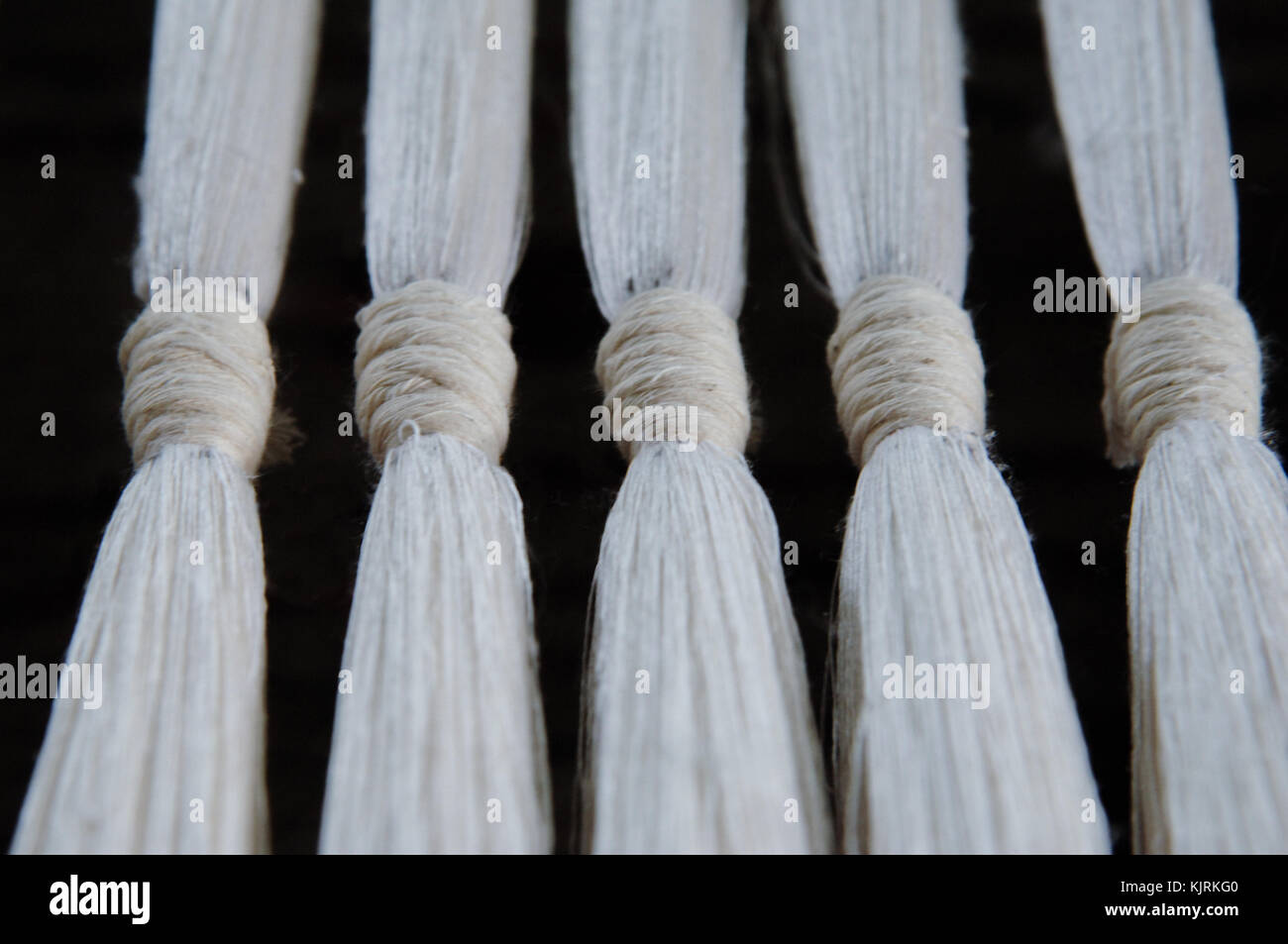subtle silk weaving thread and yarn closeup. white cotton fiber Stock ...