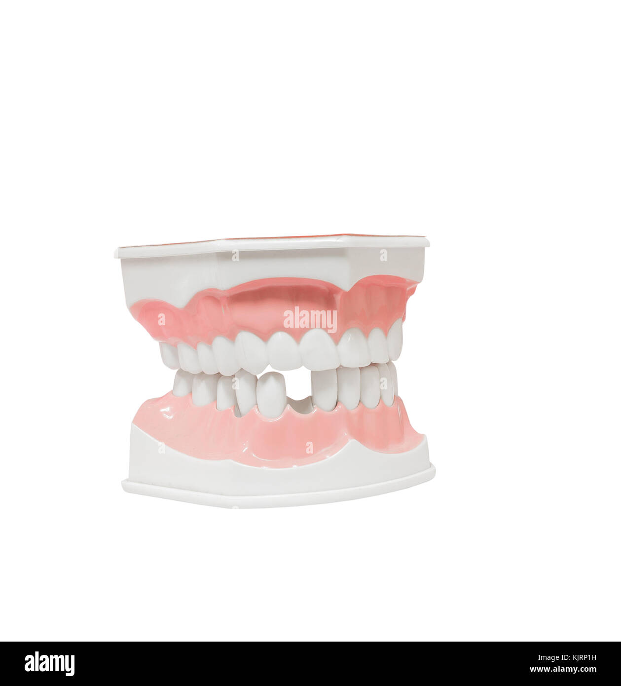 Dental Model of Teeth , and broken tooth , Isolated on white background ...