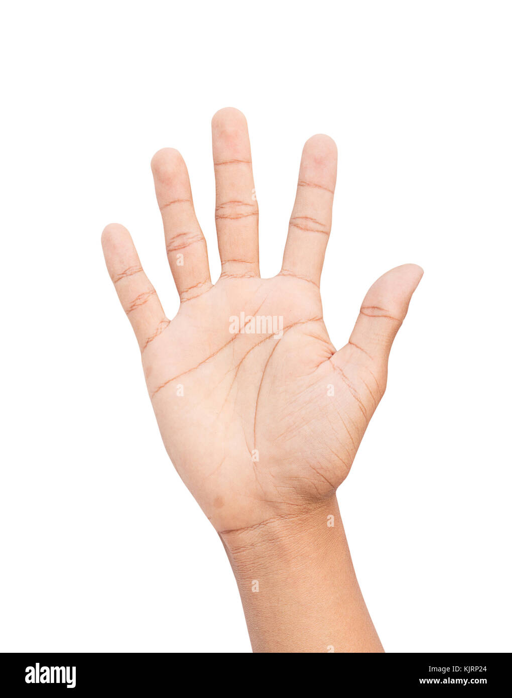 hands counting number five isolated on white background, with clipping ...