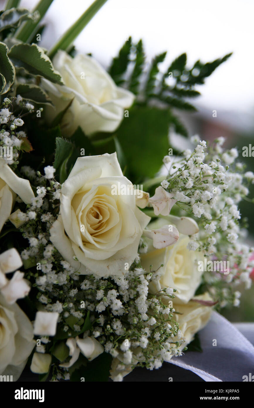wedding bouquet with white roses Stock Photo - Alamy