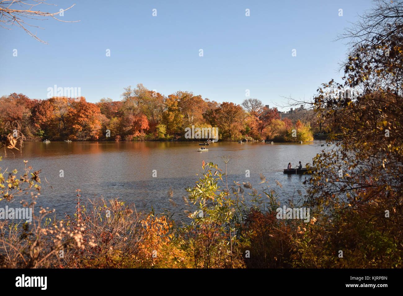 Warm November day in Central park New York City Stock Photo - Alamy