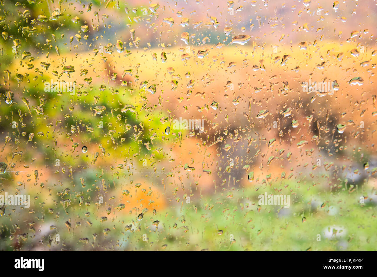 Drops of rain on a window. Blur forest in background Stock Photo - Alamy