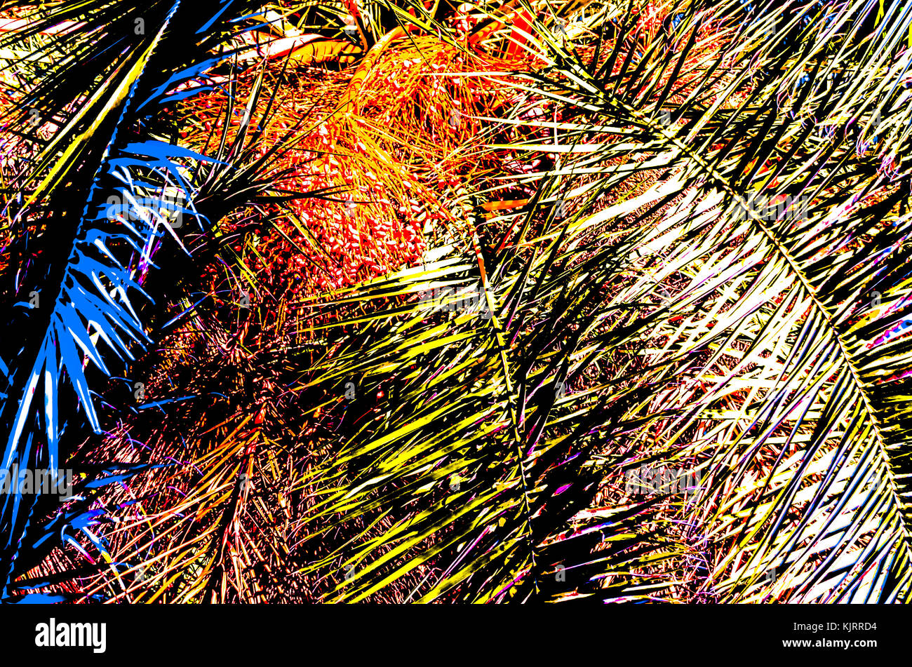 Colorful abstract illustration of palm tree leaf pattern Stock Photo ...