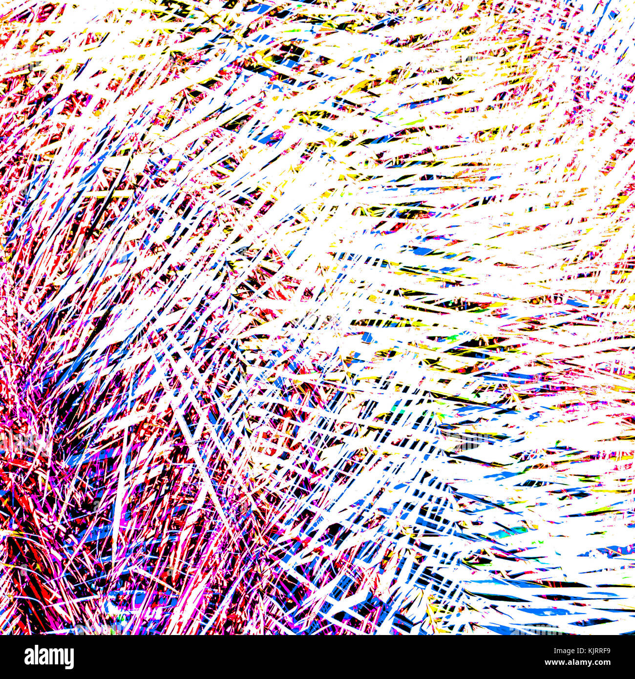 Colorful abstract illustration of palm tree leaf pattern Stock Photo ...