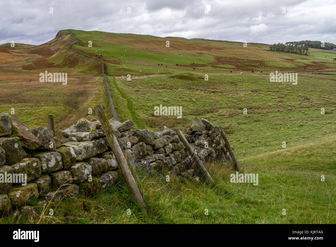 Picts wall hi-res stock photography and images - Alamy