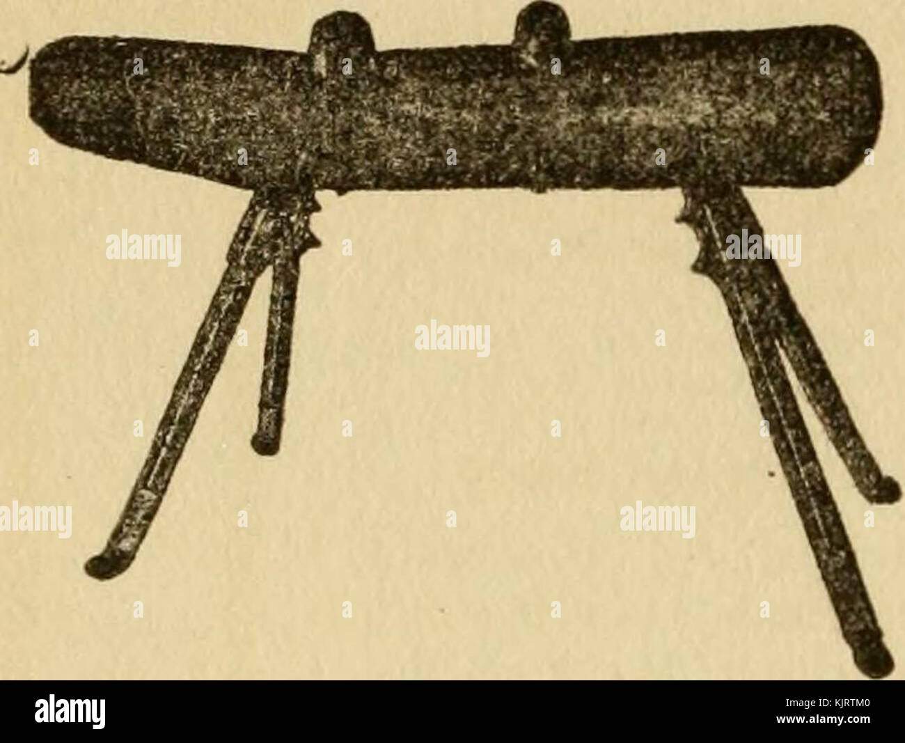 "Gymnastics and rope climbing" (1916 Stock Photo - Alamy