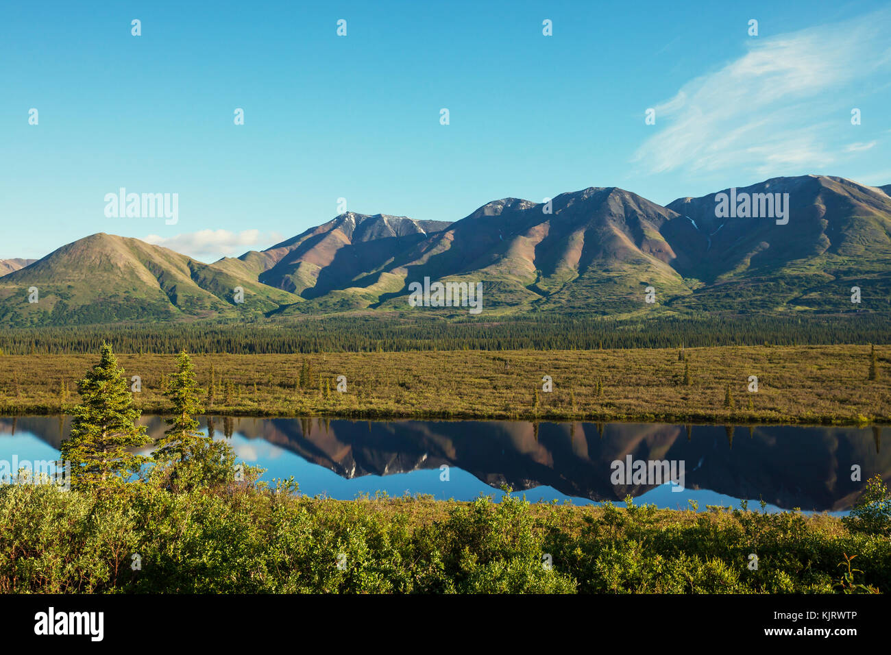 Mountain meadow in Alaska Stock Photo - Alamy