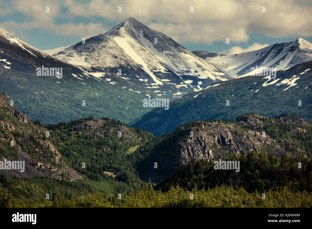 Mountain meadow in Alaska USA Stock Photo - Alamy