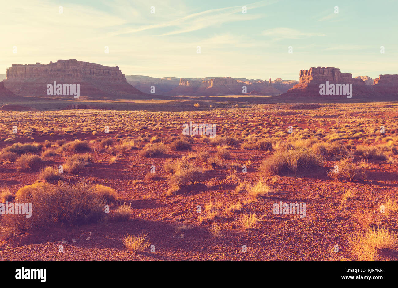 Beautiful landscapes of the American desert Stock Photo - Alamy